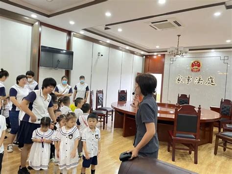 【公众开放日】西安区法院第156次“公众开放日” 为孩子种下“法”的种子澎湃号·政务澎湃新闻 The Paper