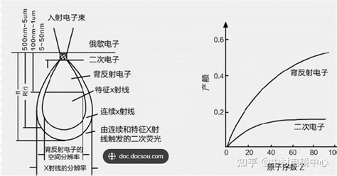 透射电镜的知识分享1 知乎
