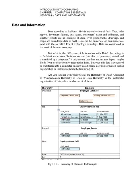 Introduction To Computing Chapter 1 Computing Essentials Lesson 4 Data And Information Pdf