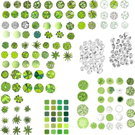 Tree Png Plan Tree Png Landscape Architecture Drawing Landscape