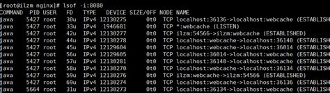 Linux 查询端口被占用命令 明天 你好啊 博客园