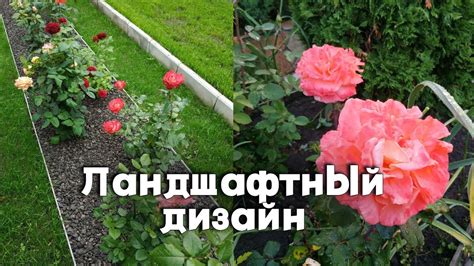 Ландшафтный дизайн своими руками на дачном участке Youtube