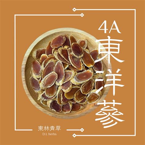 《東林小舖》精選4a5a東洋蔘 東洋蔘 太極蔘 紅白蔘 人蔘片 人蔘 養身調理包 調理包 蝦皮購物