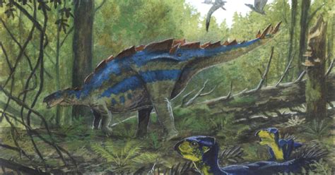 Mundo Pré Histórico Wuerhossauro O último Estegossauro