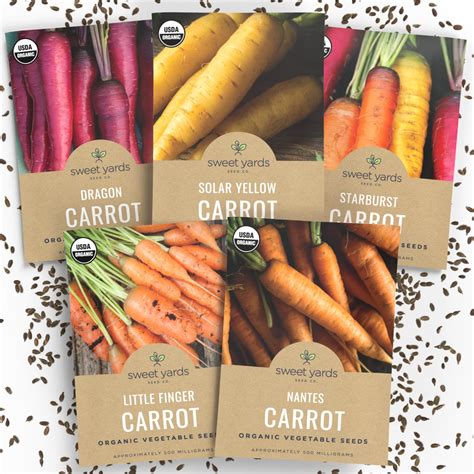 Organic Carrot Seeds Variety Pack Zlk1 5 Individual Packs 2025