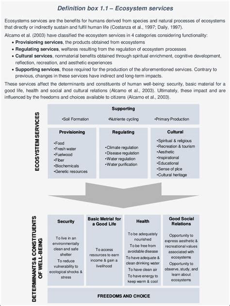 11 Schematic Of The Categories Of Ecosystem Services And Their Links Download Scientific