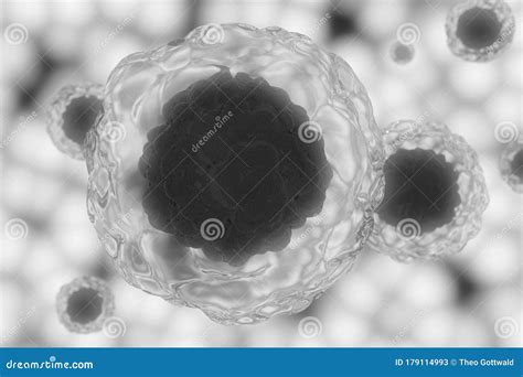 Stem Cells Under A Microscope Stock Illustration Illustration Of