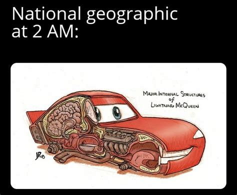 And Here We See A Wild Lightning Mcqueen In Its Natural Habitat