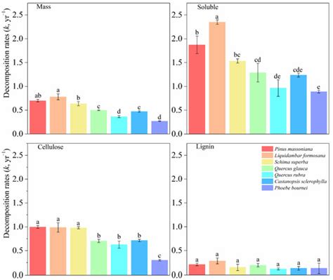Forests Free Full Text Functional Diversity Accelerates The