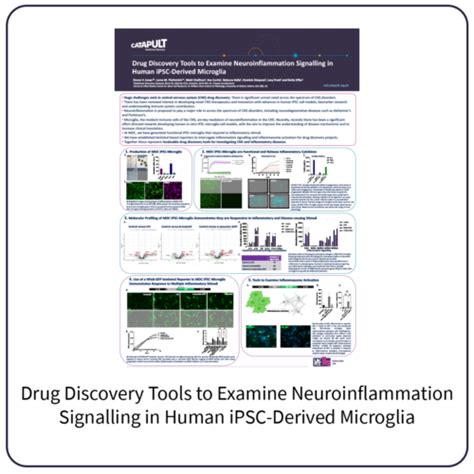 Tools To Examine Neuroinflammation Signalling