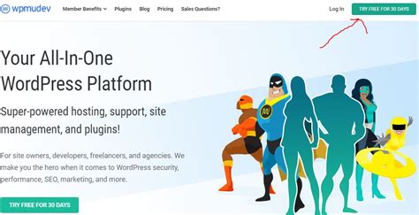 How To Create And Setup A Wordpress Website On Wpmudev Hosting Service