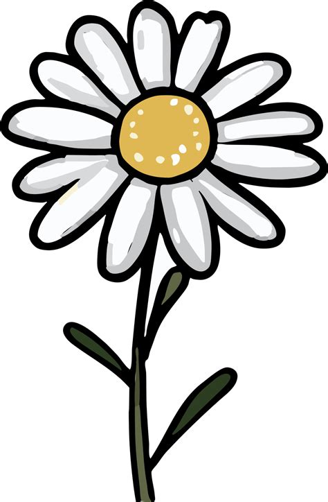 Chamomile Png Graphic Clipart Design 23623198 Png