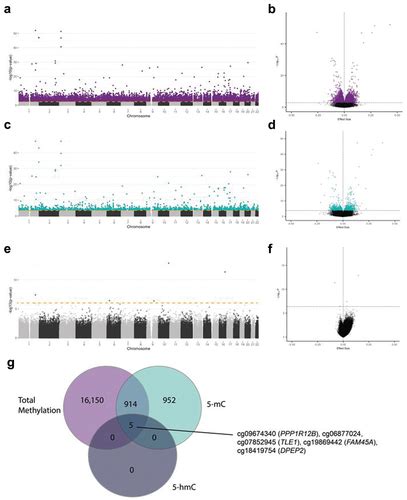 Full Article Characterizing Dna Methylation And Hydroxymethylation In