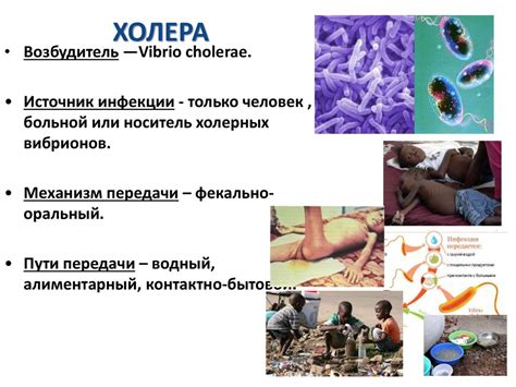 Холера стул рисовый отвар - 84 фото