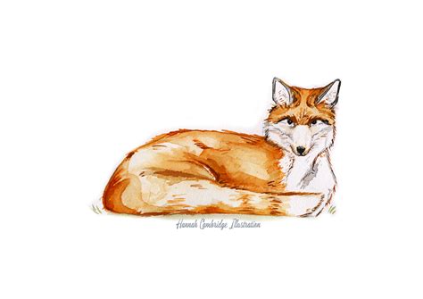 The Backlass Project On Behance