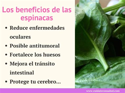 12 Increíbles Beneficios De La Espinaca ⇒ 【Únicos】