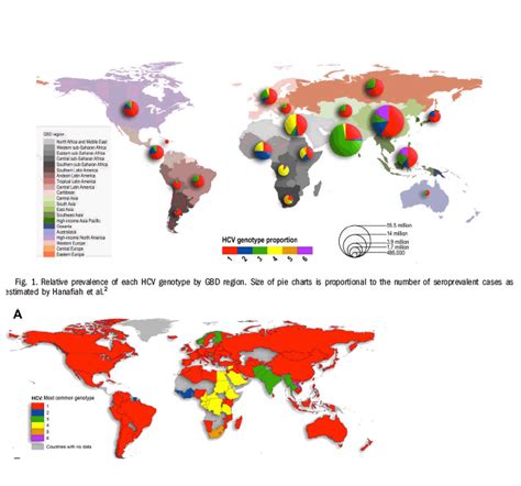Global Distribution And Prevalence Of Hcv Genotypes