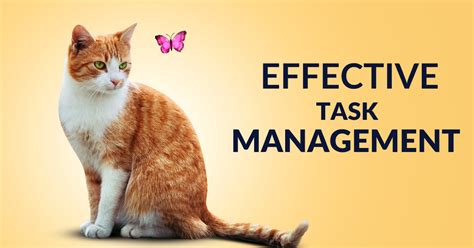 Effective Task Management
