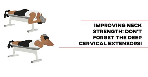 Improving Neck Strength Dont Forget The Deep Cervical Extensors P
