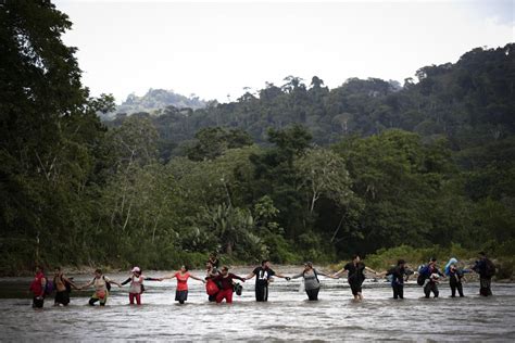Darién Medio Millón De Migrantes Cruzó La Selva La Prensa Panamá
