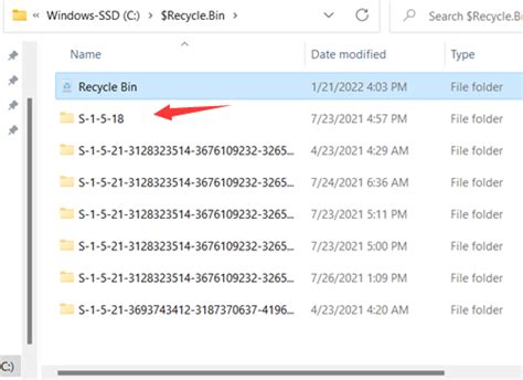 Understanding The Contents Of C Recycle Bin On Windows 10 11 Rene E Laboratory