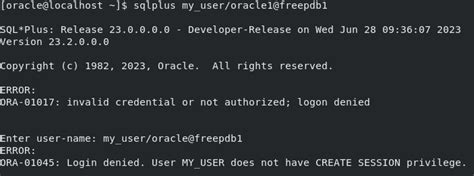 Oracle Datenbank 23c If Not Exists DDL Syntax Robotron Datenbank