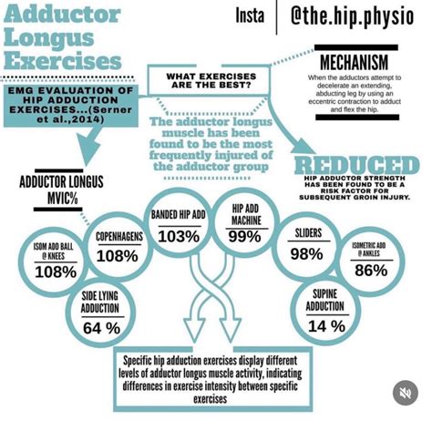 How To Choose The Best Exercises For Adductor Longus The Hip Physio Posted On The Topic Linkedin