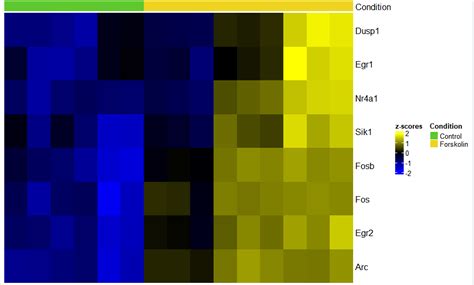 Sechm包：简化complexheatmap热图绘制怎么才在sechm包 Csdn博客