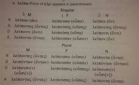 Participle Paradigms Flashcards Quizlet