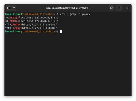 [error] proxy variables are not inherited when container starts · issue