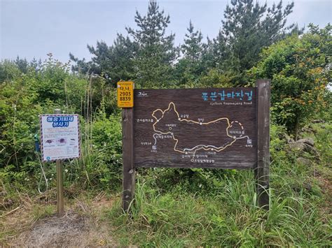 제주도 한달살기 제주올레길 트레킹 알파캠프 Band