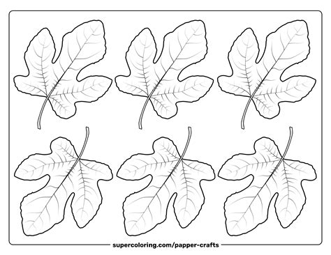 6 leaves of common fig template free printable papercraft templates