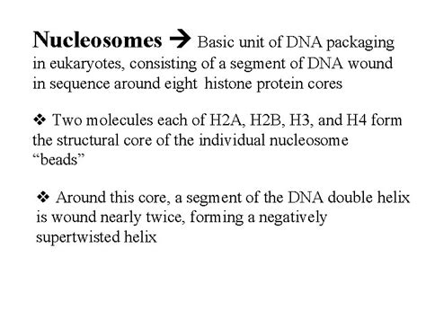 DNA Packaging Objectives DNA Packaging In Prokaryotes How