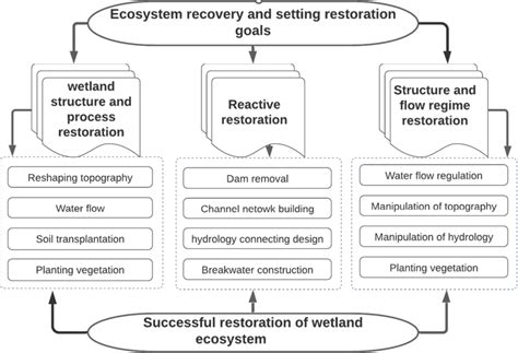 Pathway Of Restoration Strategy For The Recovery Of The Degraded
