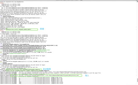 mongodb学习 1 mac安装and使用mongoimport导入json 文件到mondodb mac mongod 导入覆盖 csdn博客