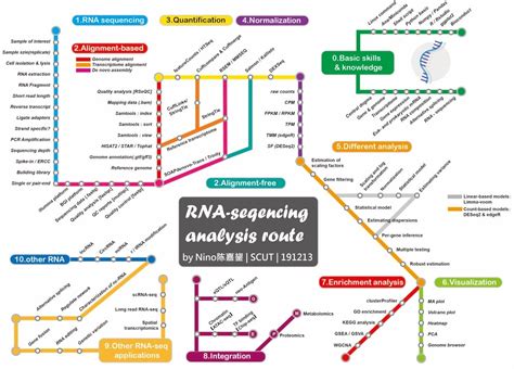 Rna Seq 分析流程 · Xtao Achelous