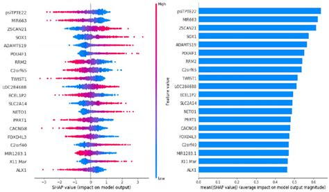 summary plots for shap values on kipan dataset download scientific