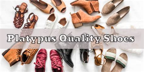Platypus Reviews Nz Kick Start Your Style With Quality Shoes That Last