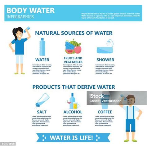 몸 물 음료 Infographics 건강 사람들이 다이어트 라이프 스타일 개념 브로셔 Infochart 벡터 일러스트 레이 션