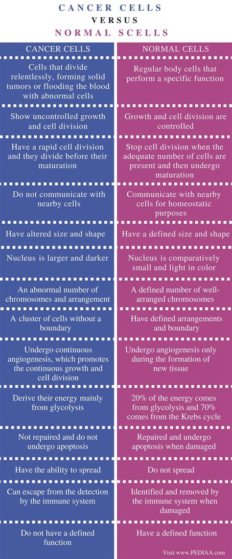 What Is The Difference Between Cancer Cells And Normal Cells Pediaacom