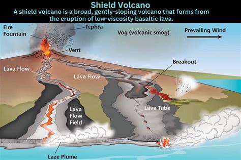 Shield Volcano Diagram Which Of These Volcanoes Is Tallest