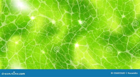 Abstract Green Wallpaper Or Plant Cells Texture Under A Microscope Seamless Pattern Stock Vector