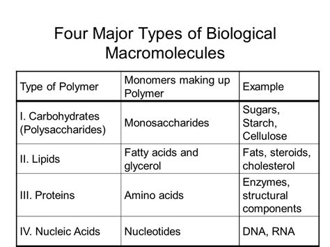 The Four Types Of Macromolecules By Robert Mcginnis
