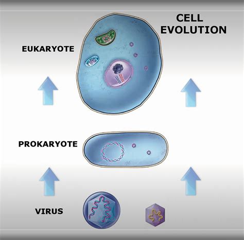The Binary Code In My Carbon Cause Divinity Rbioinformatics