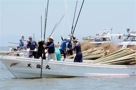「宝の海」再生へ藻場造成 県有明海漁協佐賀市支所 「海の森」手作り ササ3000本｜行政・社会｜佐賀新聞ニュース｜佐賀新聞live