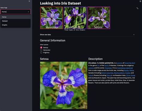 GitHub Zaemyung Streamlit Tutorial A Simple Tutorial Script On Streamlit Using The Iris Dataset