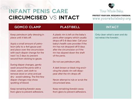 The Mayo Clinic's 'Benefits' of Circumcision: An Analysis — Your Whole Baby