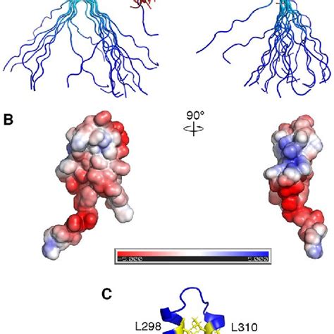 3d Structure Of The Thb Domain A Ribbon Diagram Of The Solution Nmr