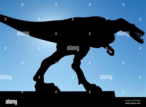 Silhouette Des Tyrannosaurus Rex T Rex Dinosaurier Dinosaurier Ridge