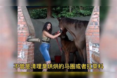 养马的酒姨太，内蒙古90后姑娘养马爆红，性感彪悍身材成百万网红姑娘姨太内蒙古